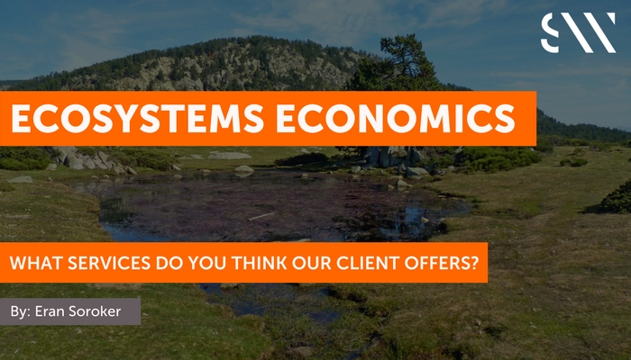 ECOSYSTEMS ECONOMICS – Overcoming lack of distinctive character ...